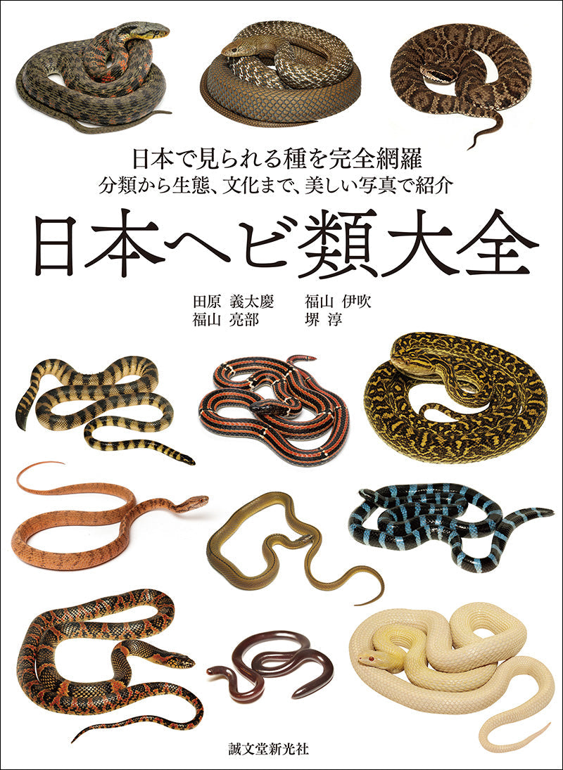 Complete list of snakes in Japan – 誠文堂の直売所