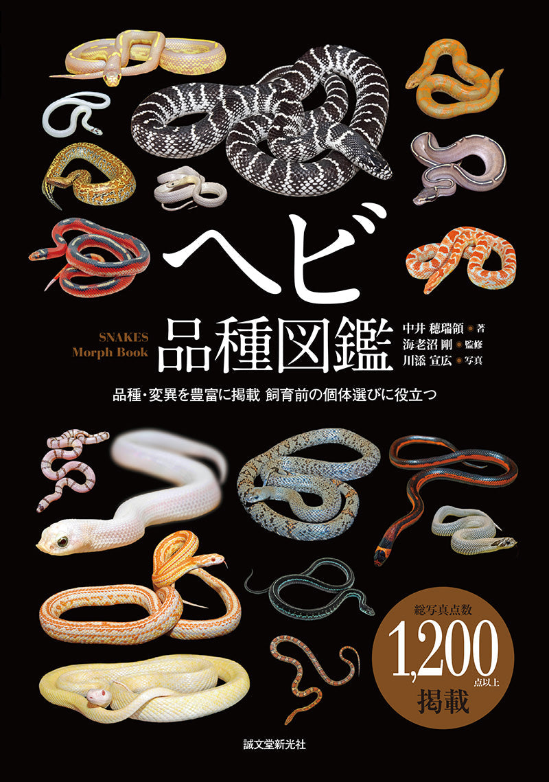 Snake breed guide – 誠文堂の直売所